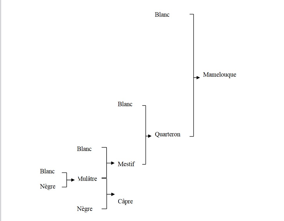 Colorism and life opportunities during Slavery #1 Skin color and mixed ...